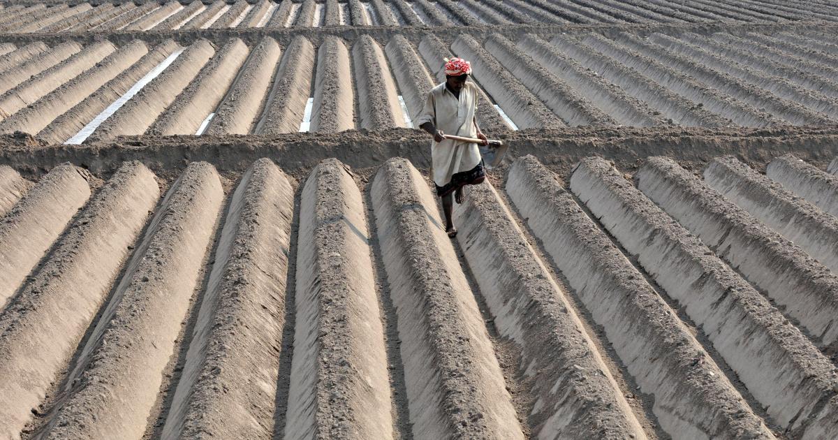 The case of giving government land to the army, the court reserved the ... The case of giving government land to the army, the court reserved the ...