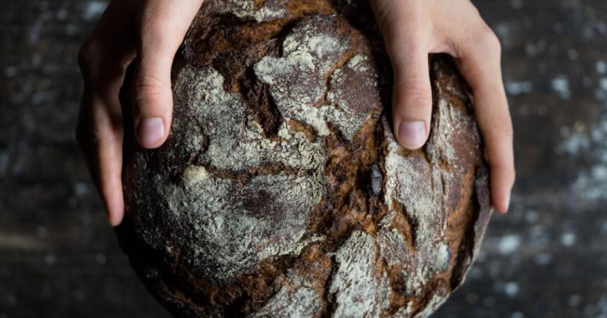 'World's Oldest Yeast Bread' Discovered in Turkey – Archyde